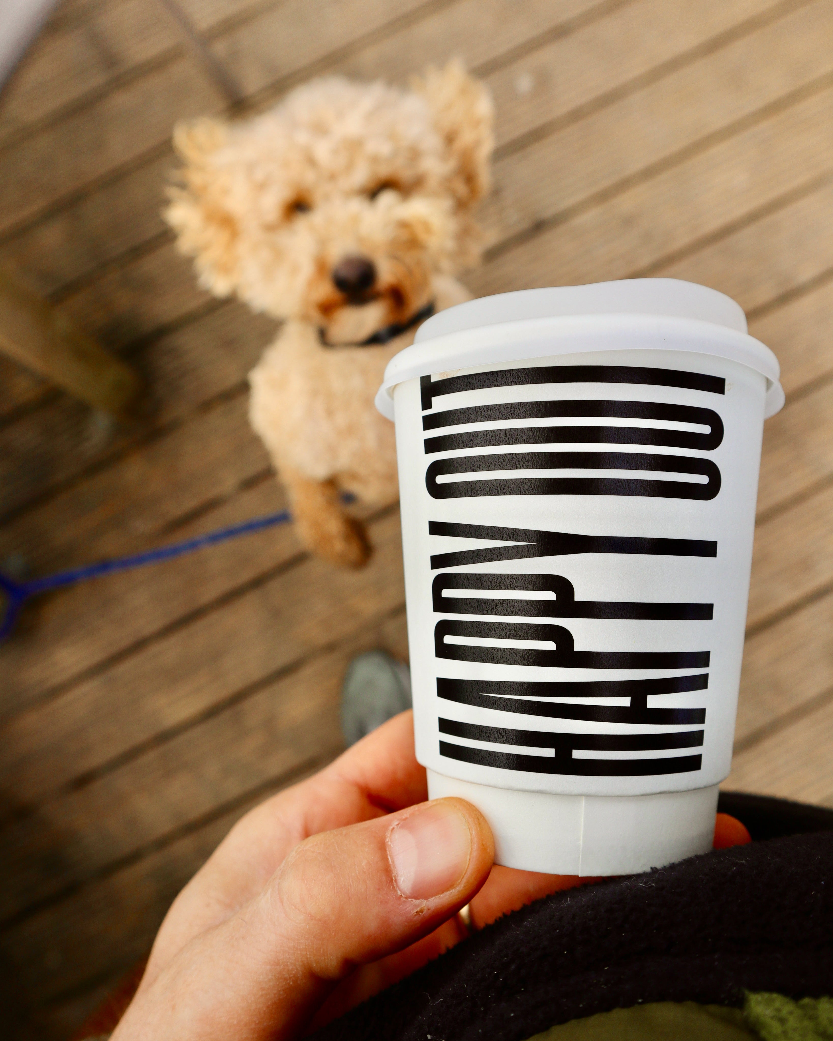 Happy Out Café